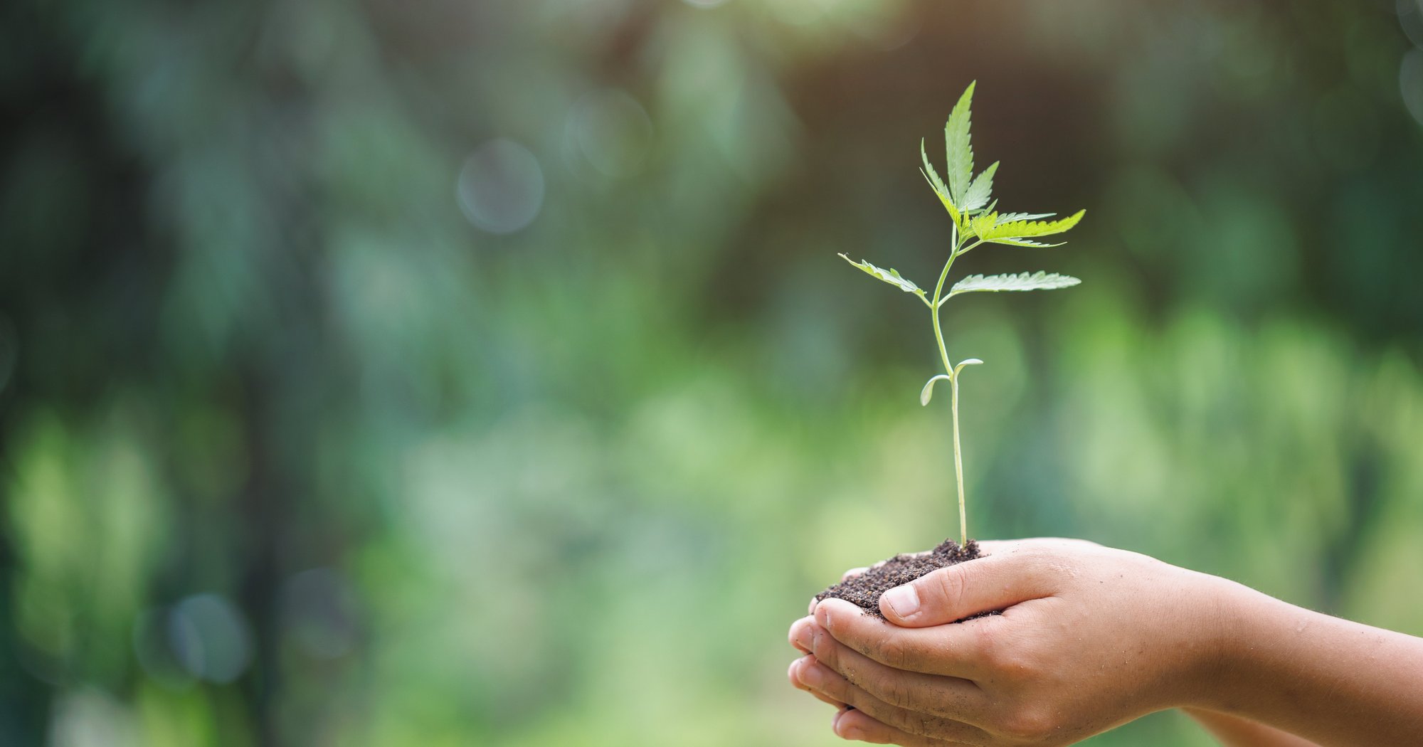 Colasit | sustainable solutions in the product, climate protection